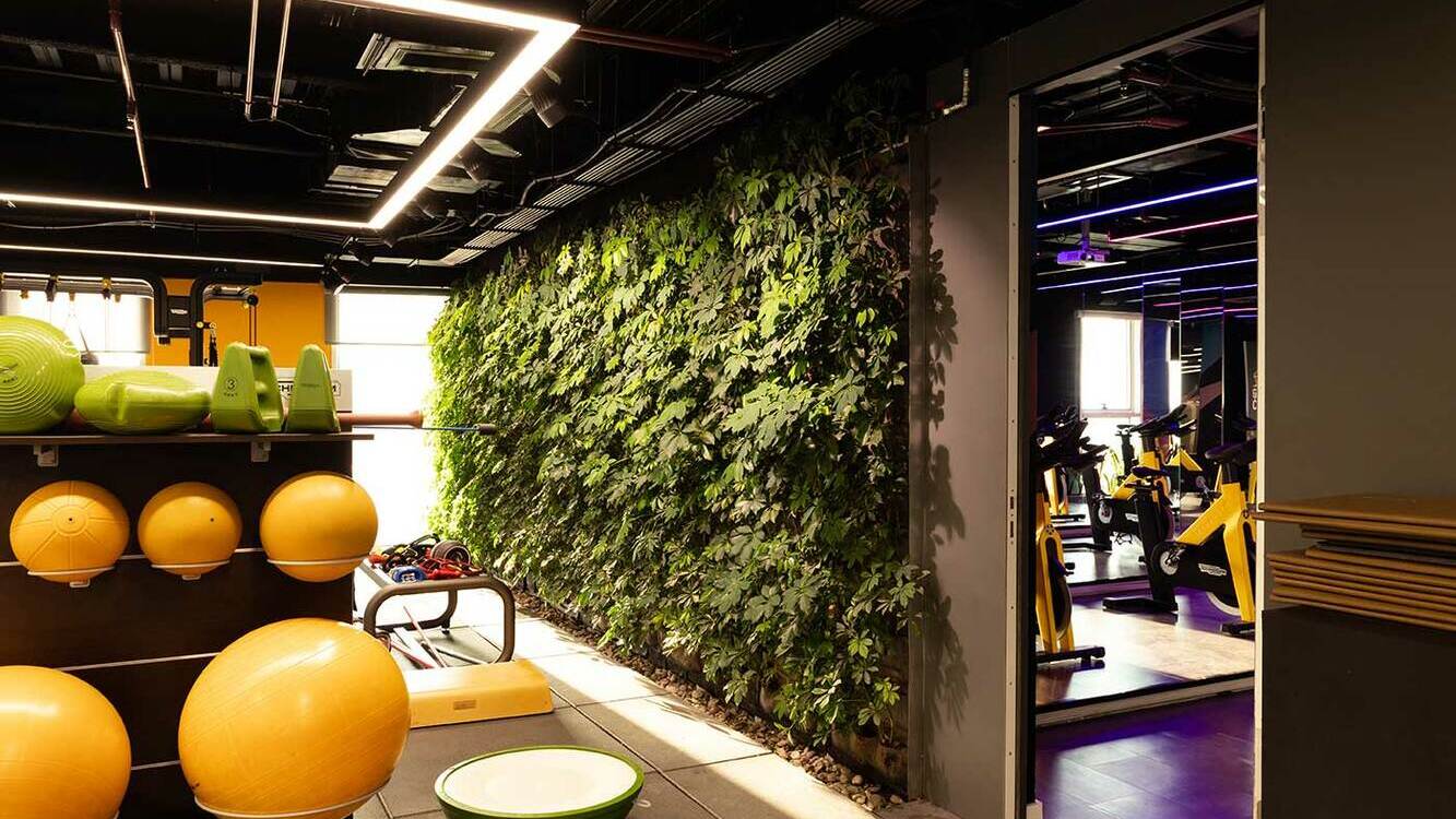 Sam Gym Studio – Higreenwall